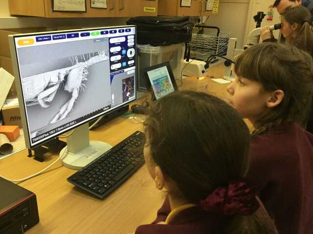 Grappenhall Heys Community Primary School - Science