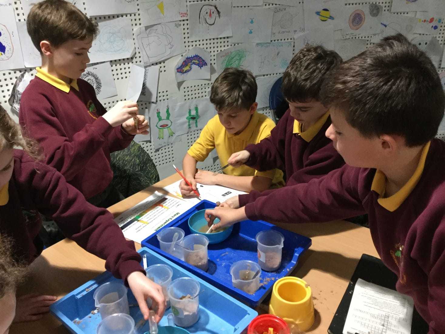 Grappenhall Heys Community Primary School - Science