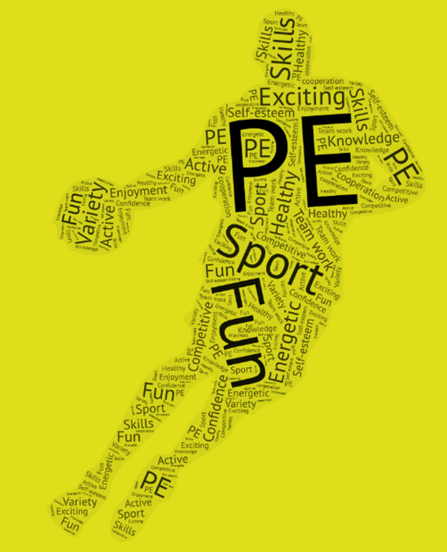 Grappenhall Heys Community Primary School - PE Pupil Voice